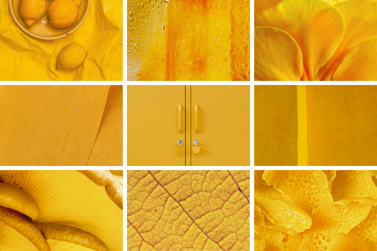 16 Mustard-have pieces in our signature colour – Mustard Made EU