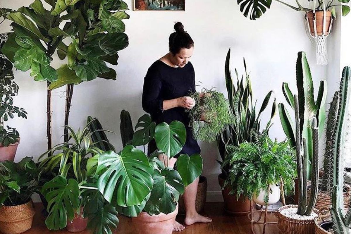 Taquillas + Plantas - con Tribe and Us - Mustard Made EU